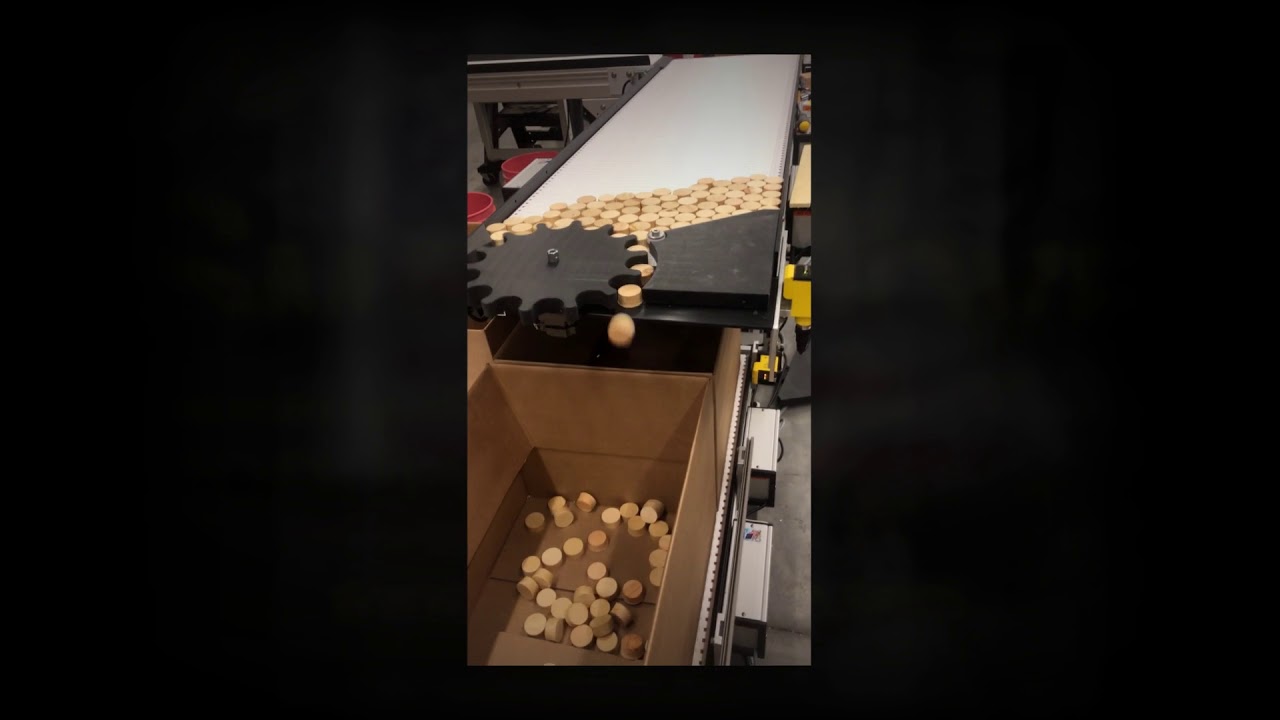 Accumulating - Counting - Packaging Conveyor System by SmartMove® - YouTube