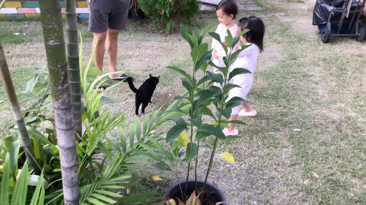 Proud and Anya Friday Morning - YouTube