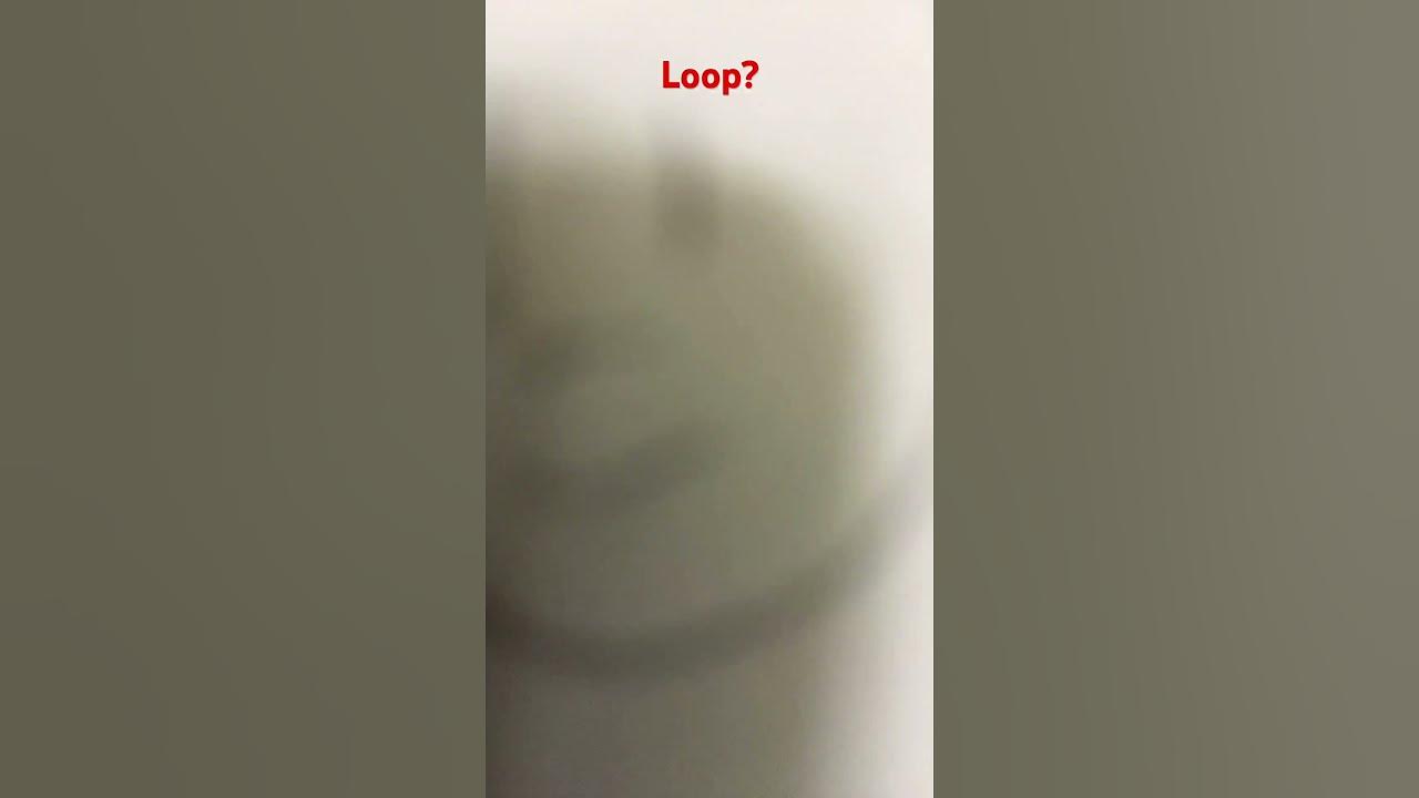 Loop? #loop #funny #satisfyingloop #endlessloop #perfectloop #music #art #musicgenre - YouTube