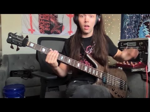 Enter Shikari - Sorry You’re Not a Winner Bass Cover (Now with 99% more ...