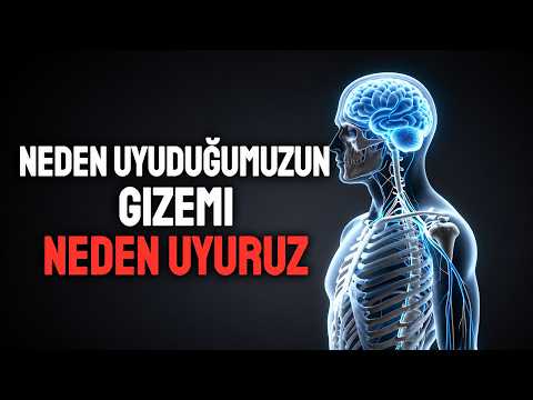 İnsanlar Neden Bu Kadar Garip Uyur? Unuttuğumuz Kadim Kalıp - UYKU BELGESELİ