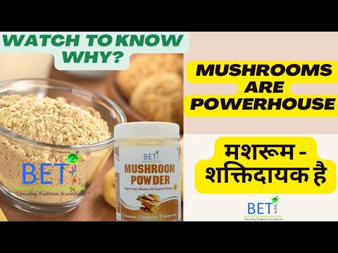 Mushroom Powder benefits । Health Supplement। शक्तिदायक । ताकत वाला ...