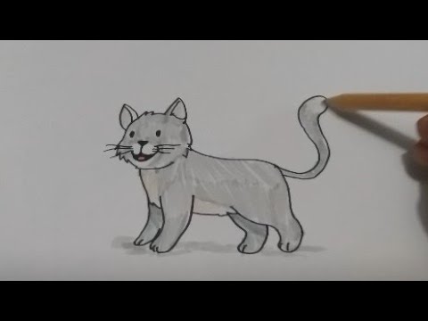 Tutorial cara menggambar kucing lucu - YouTube