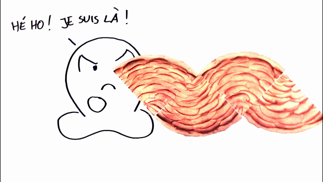 Surface du disque - YouTube