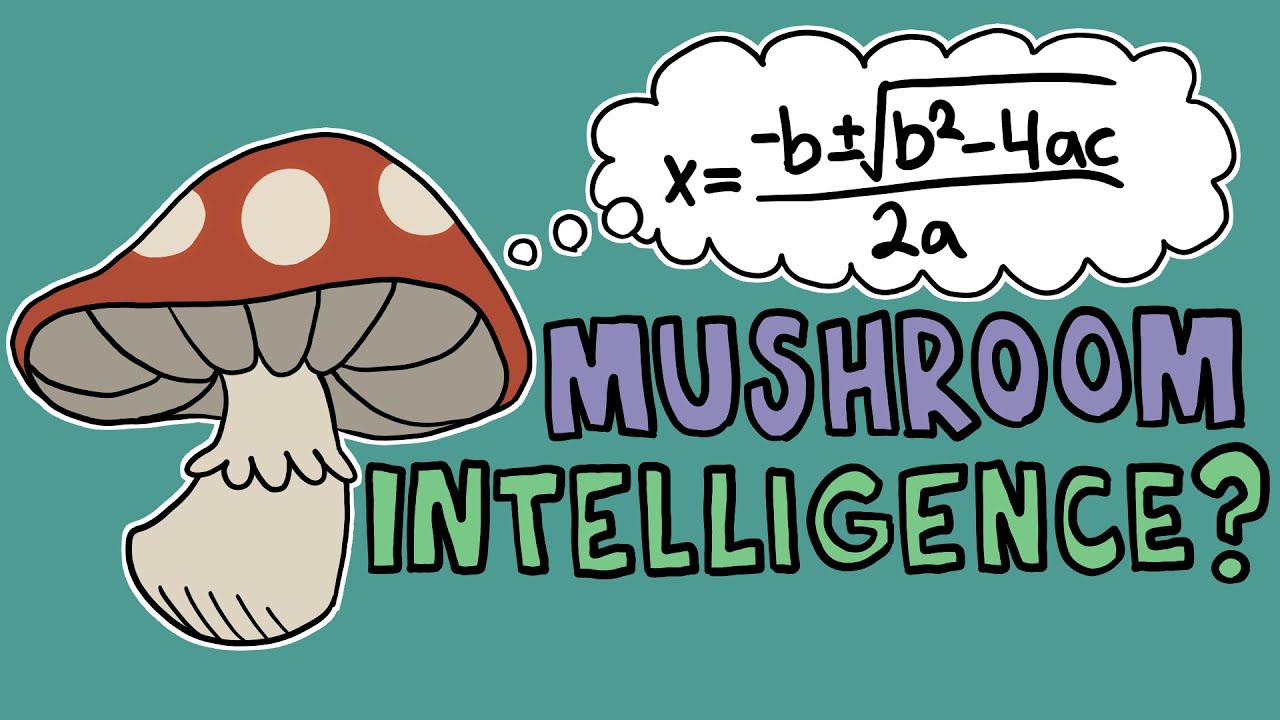 Fantastic Fungi and Intelligence Without Brains - YouTube