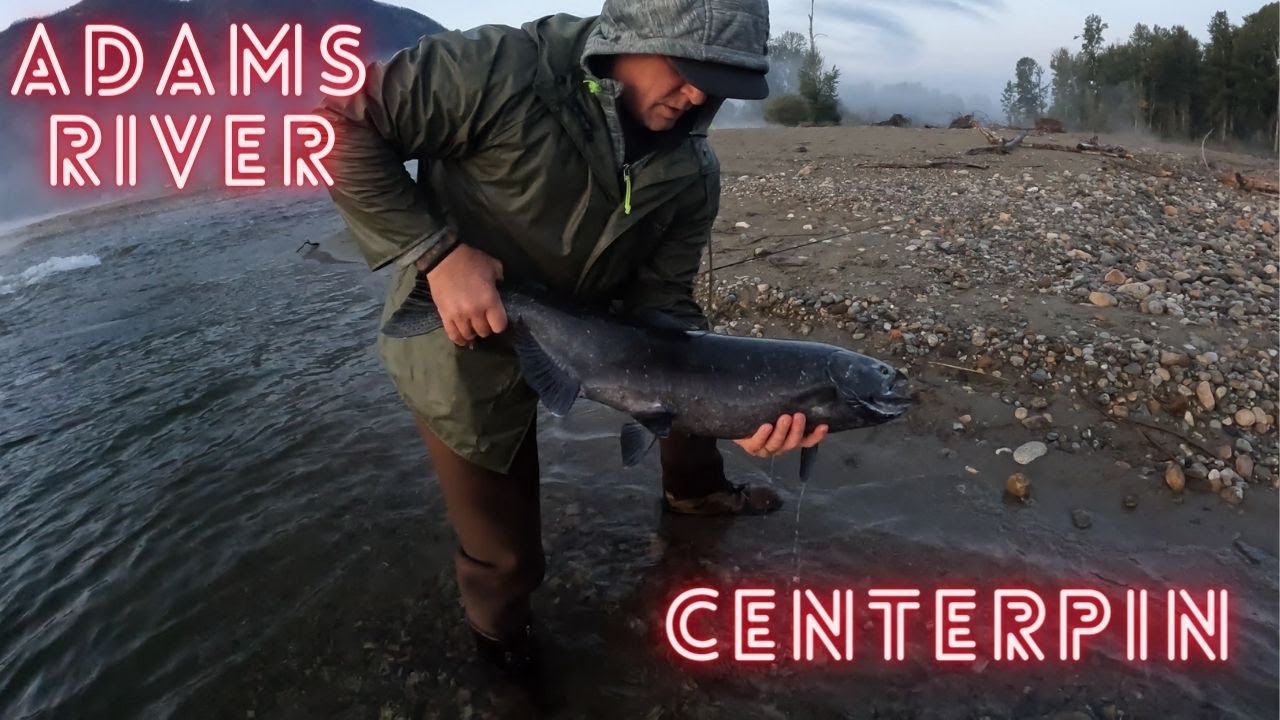 FALL FISHING the ADAMS RIVER - YouTube