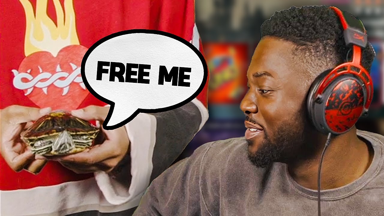 RDC Aff’s Turtle Is Fighting for His Life Everyday - YouTube