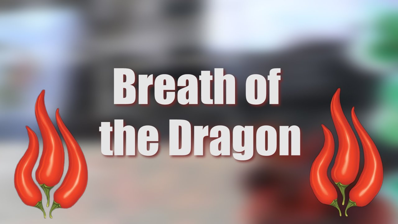 Breath of Dragon: Trying Hottest Chillis in Wales in The Little Chilli ...