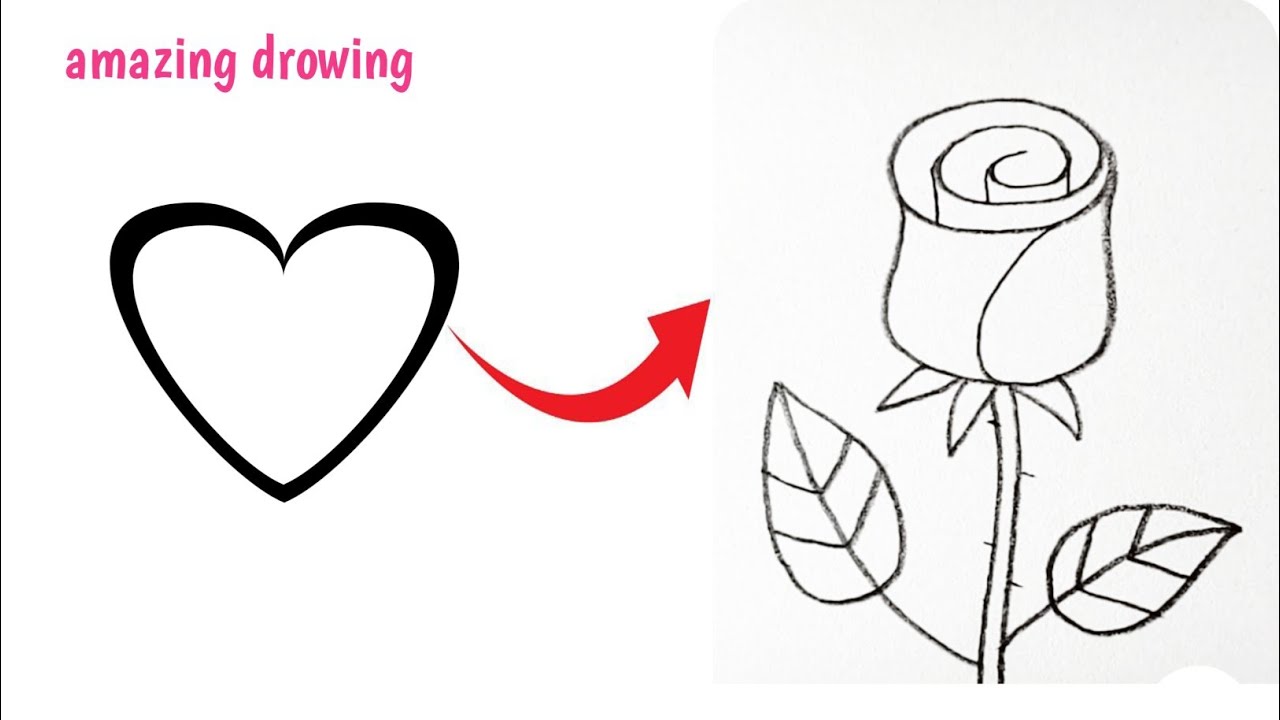rose 🌹🌹 drowing easy गुलाब का फूल चित्रकला - YouTube