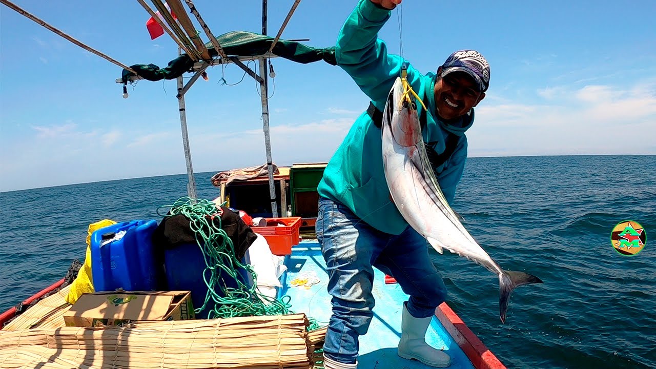 And Moll Pescando al PEZ ATÚN - Pesca en Alta Mar - tuna fishing - YouTube