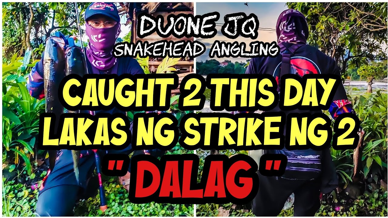 Snakehead Top Water Angling, Channa Striata, Dalag/ Haruan/ Gabus ...