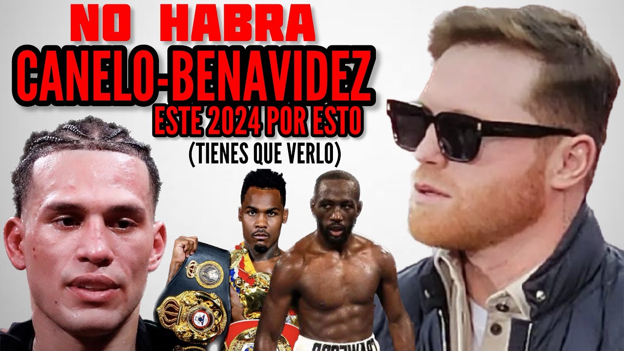 ¡SIGUE CHARLO Y CRAWFORD! Canelo Álvarez RECHAZARÁ OTRA VEZ a David ...