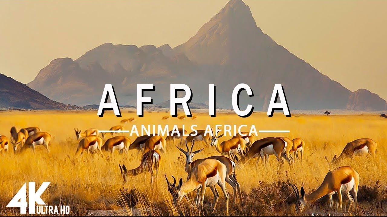 FLYING OVER AFRICA 4K UHD Relaxing Music Along With Beautiful Nature ...