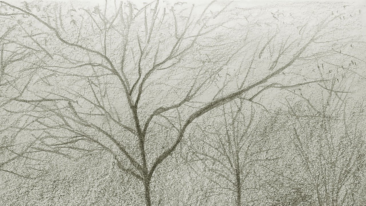 Misty Landscape Drawing Using Graphite Pencil | Relaxing | Simple | Art ...