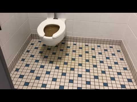 School toilet flood AGAIN