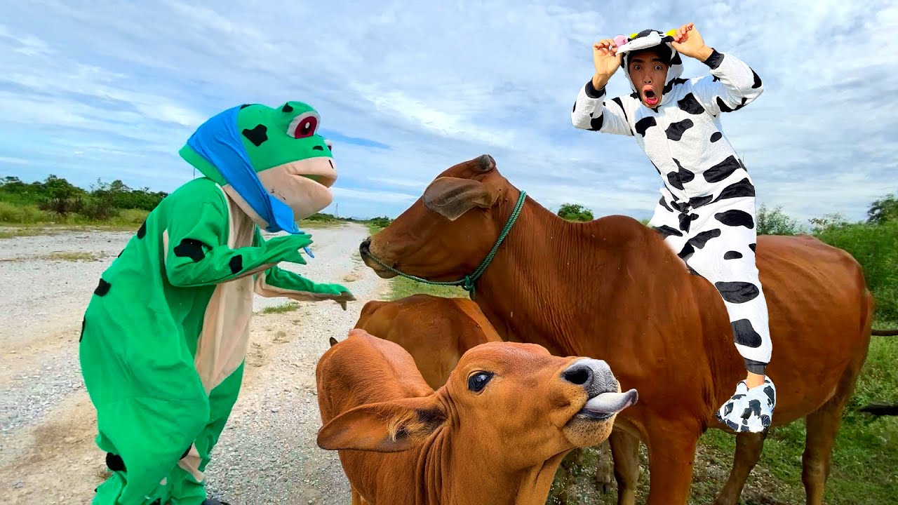 con bò - Con Bò - CON BÒ - Con Bò Con - Con Bò Ăn Cỏ - Bài Hát Con Bò ...