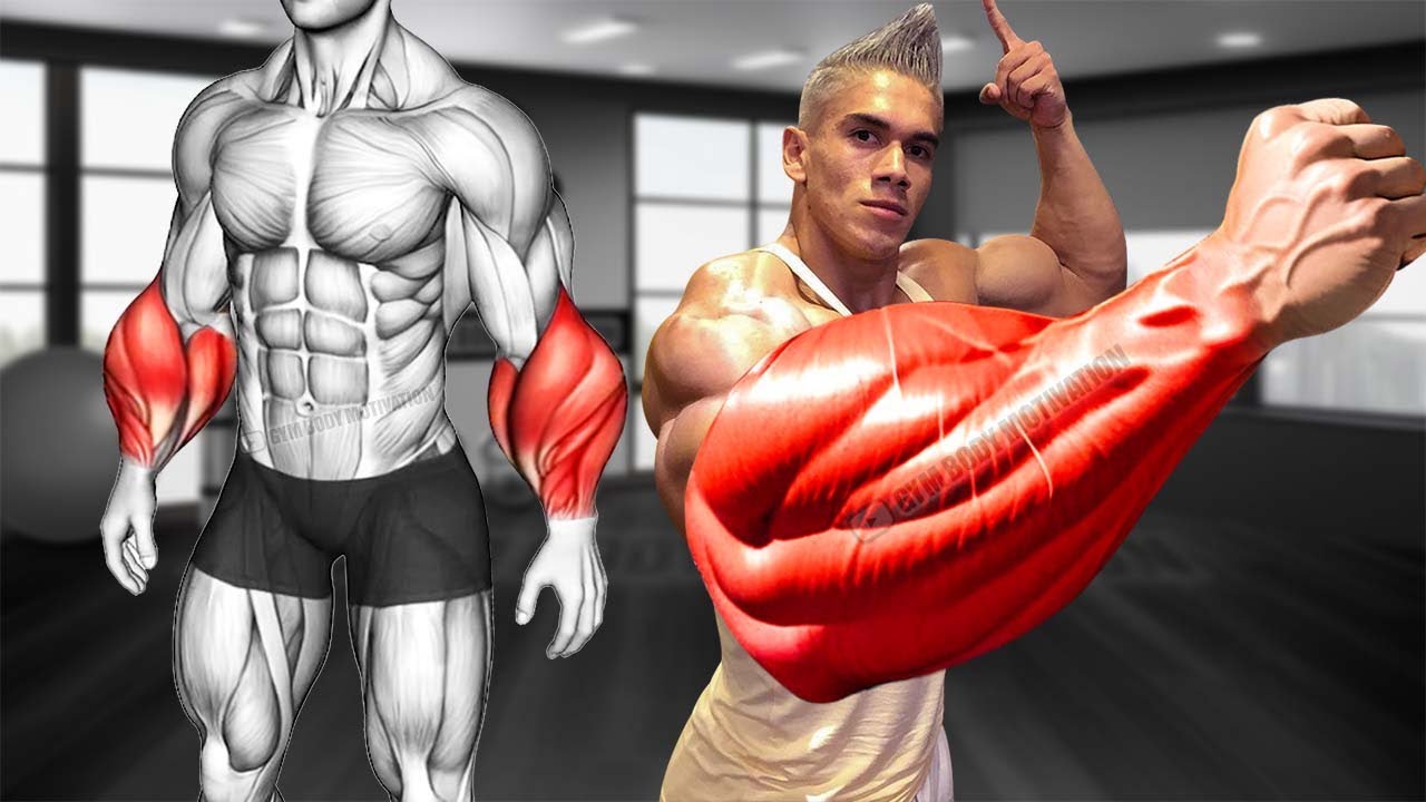 6 min a day to get VEINY ARMS - Gym Body Motivation - YouTube