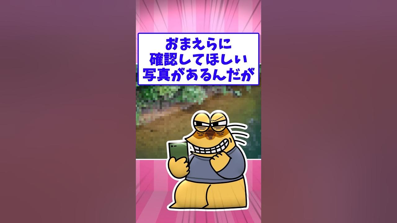 ð±ã2ché¢çœãã¹ã¬ãããŸããã«ç¢ºèªããŠæ¬²ããåçããããã ãwwã5chåäœã¹ã¬ã Shorts 2ch ãªãj Youtube