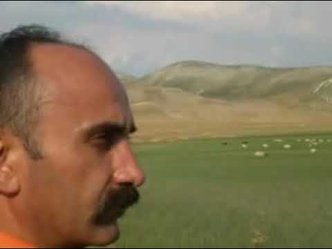 EROL YORULMAZ BENİ NEDEN ANLAMADINIZ