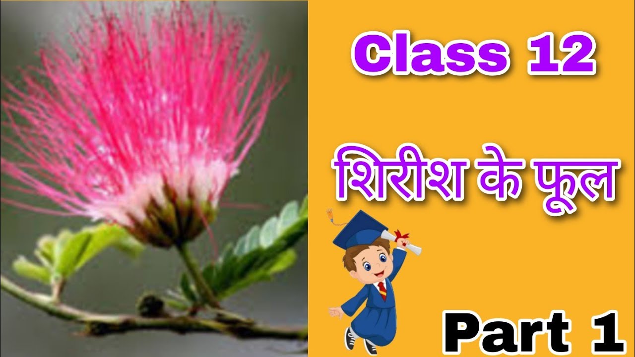 Class 12 Shirish Ke Phool Class 12 Hindi Devvani Hindi And Sanskrit YouTube class-12-shirish-ke-phool-class-12-hindi-devvani-hindi-and-sanskrit-youtube