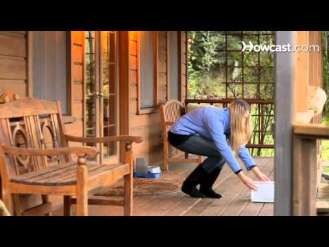 How to Train a Cat to Go to the Bathroom Outside