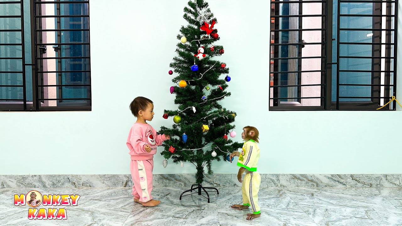 Monkey Kaka and Diem help mom decorate the Christmas tree - YouTube