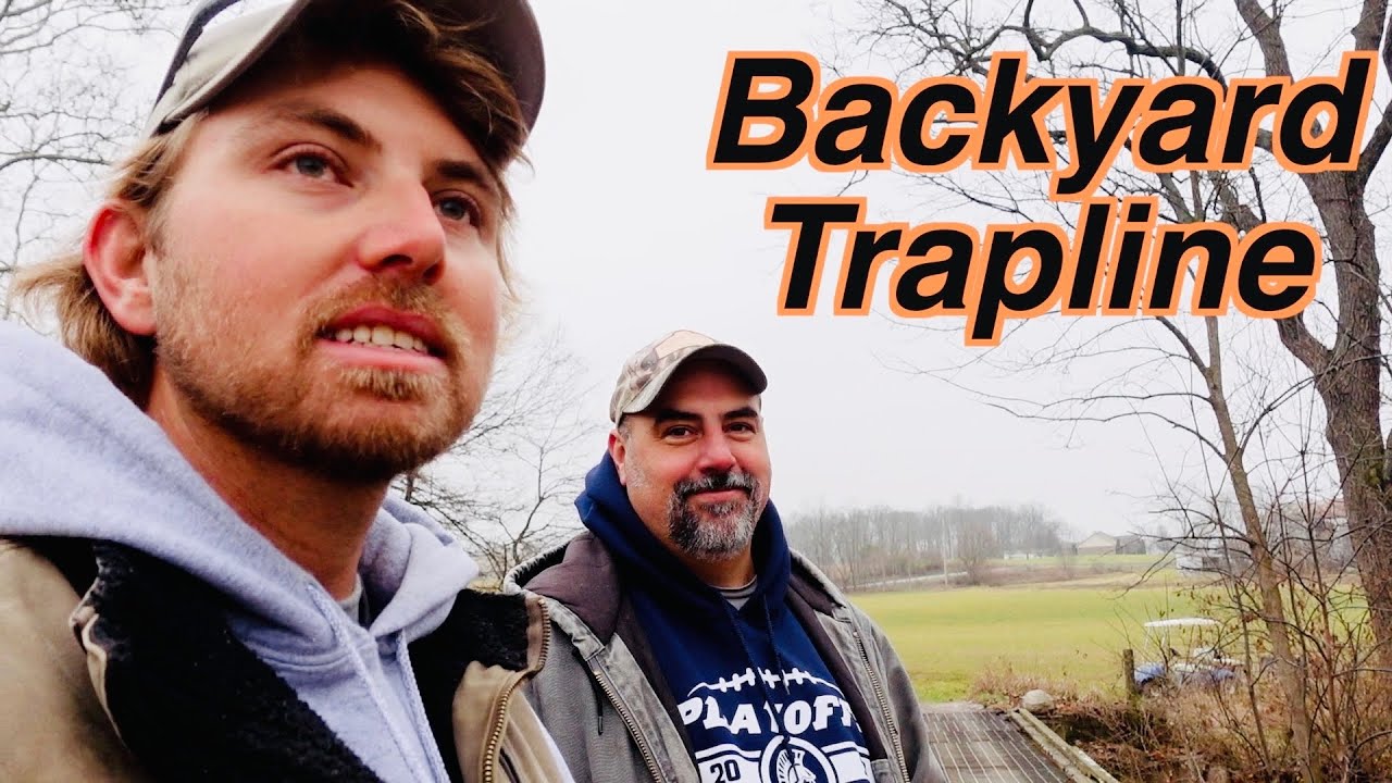 Setting up a BACKYARD TRAPLINE - YouTube