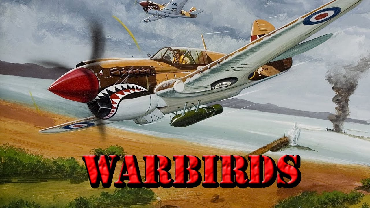 Warbirds, Curtiss P-40 Warhawk - YouTube