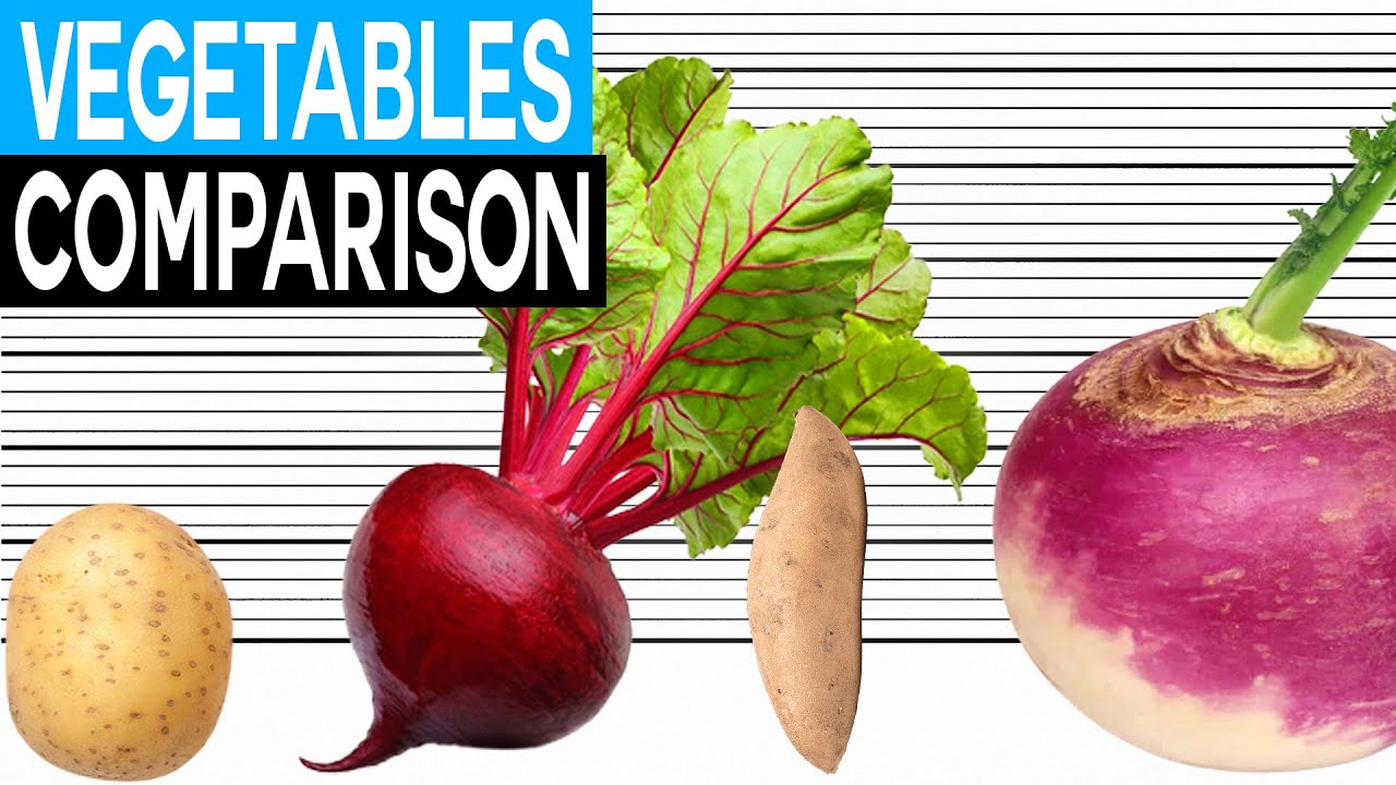 Vegetables Size Comparison | Biggest Vegetables - YouTube