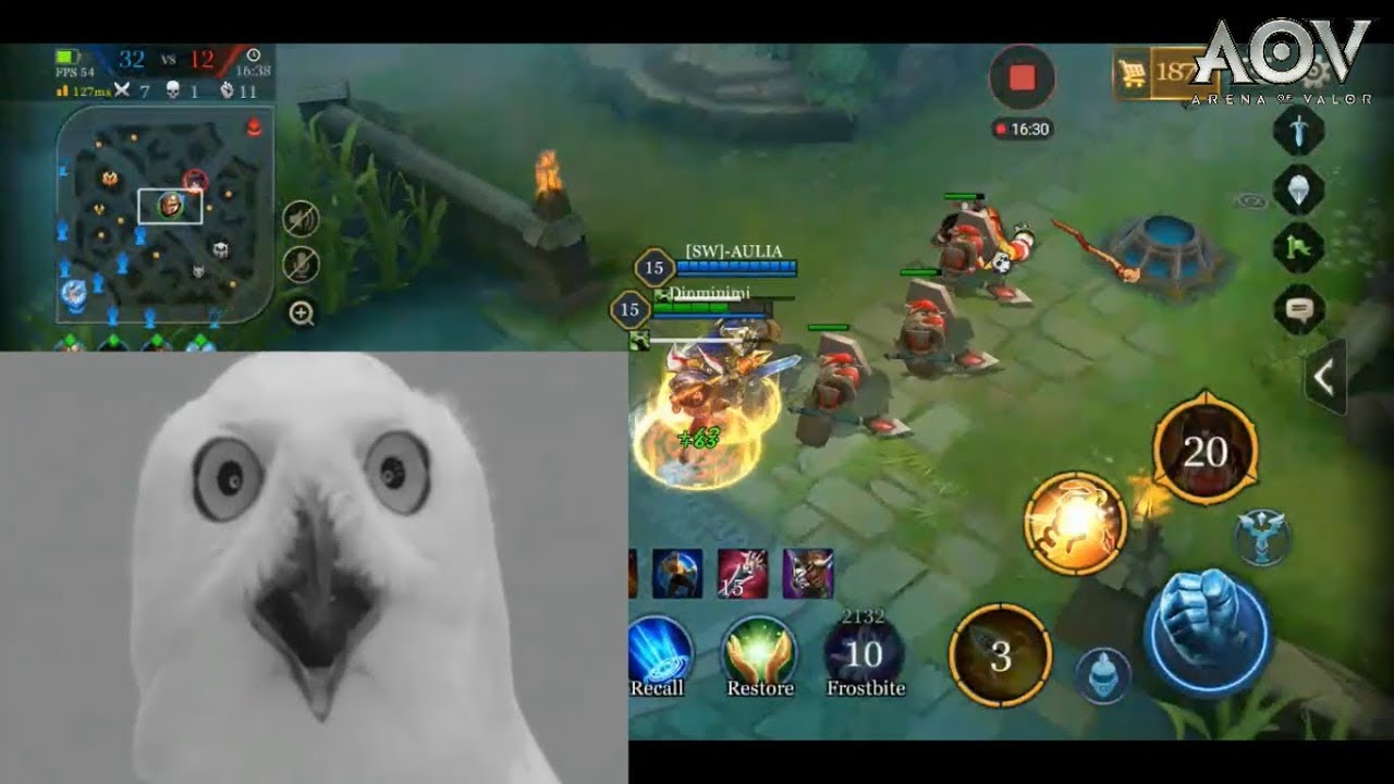 AOV Top Funny Series #36 - Garena AOV (Arena of Valor) - YouTube