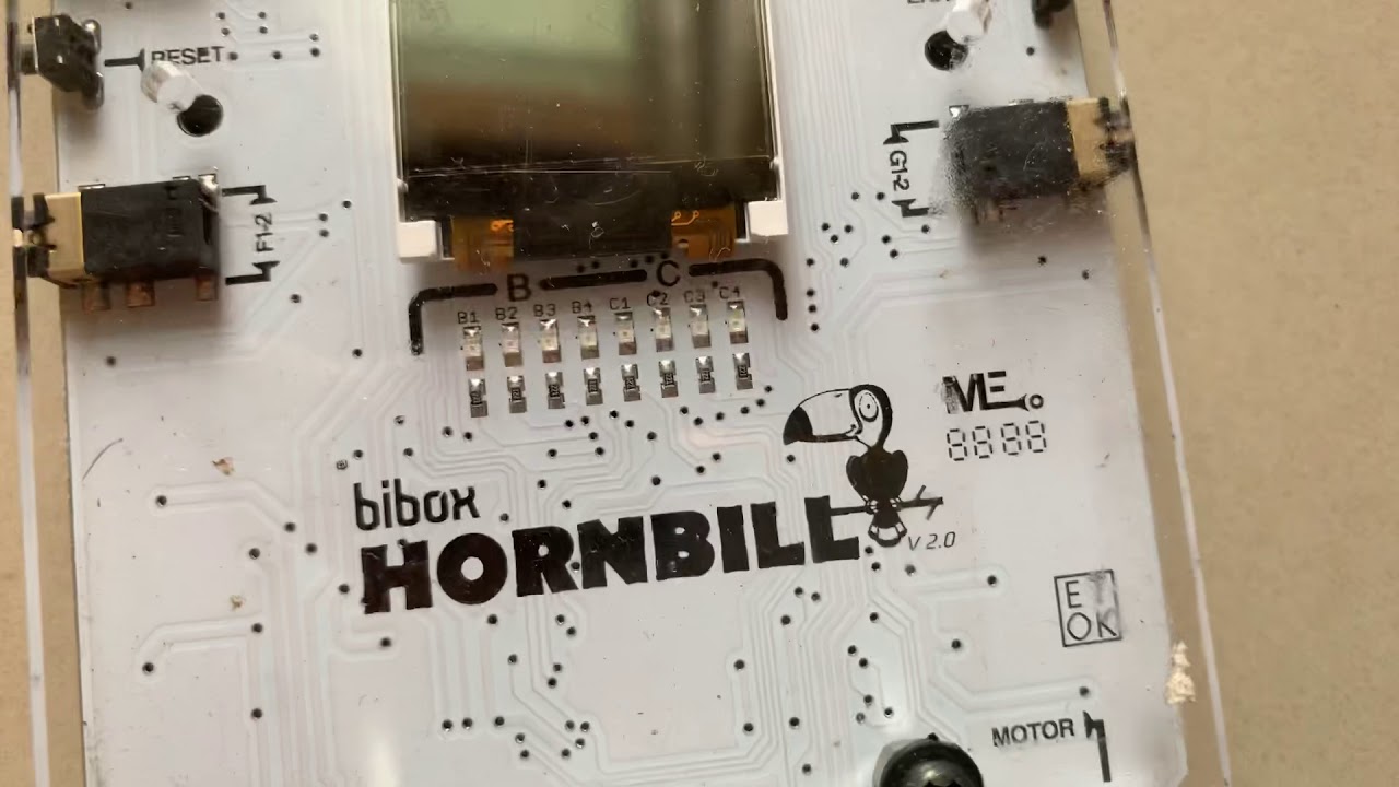 Bibox Hornbill @ science lab - YouTube
