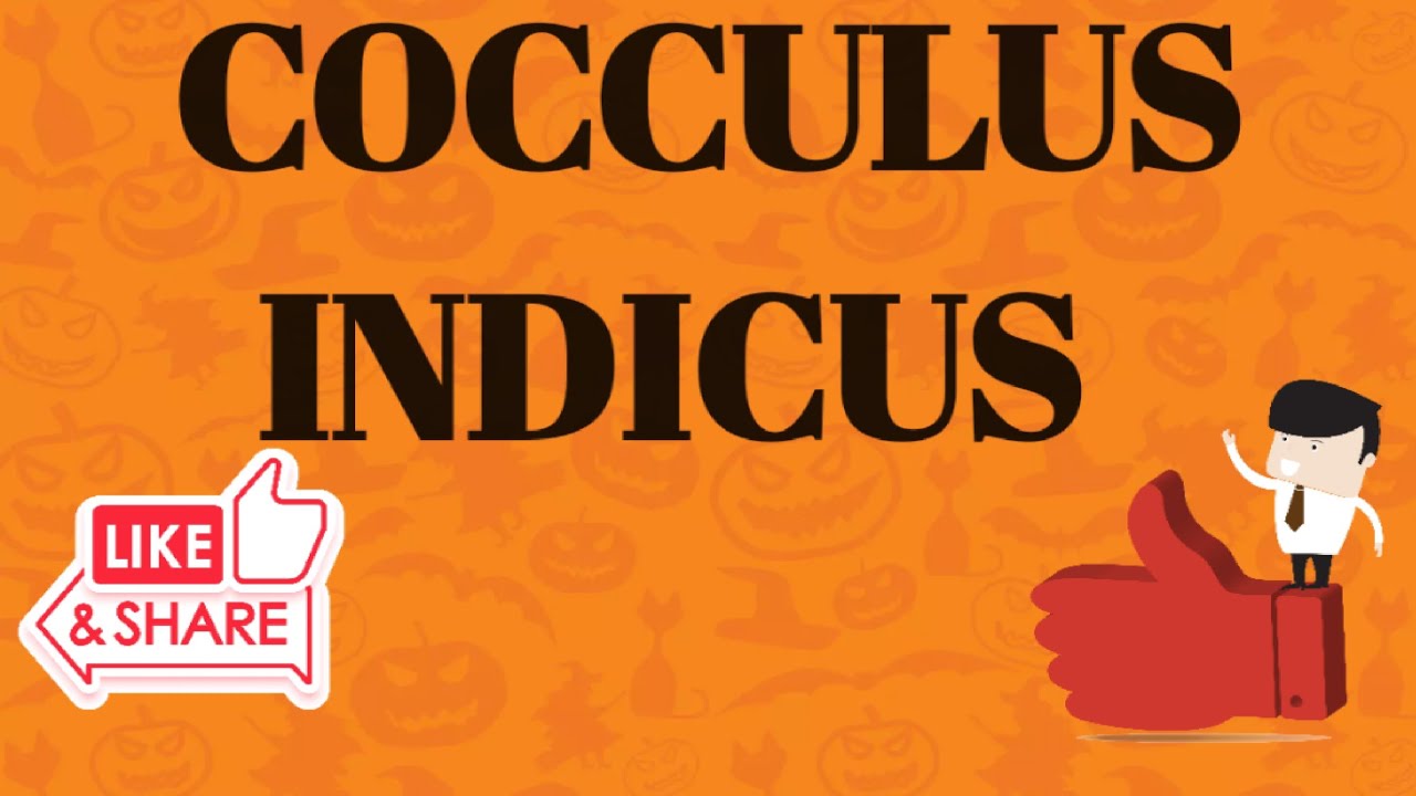 COCCULUS INDICA HOMOEOPATHIC MEDICINE/DRUG PICTURE - YouTube