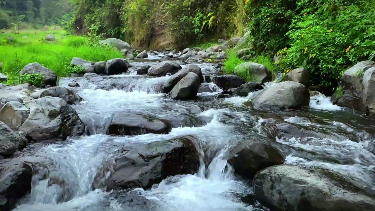 Calming Water Sounds for Yoga | Peaceful River Flow Ambience - YouTube