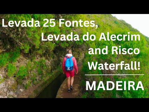 Hikes Levada 25 Fontes, Levada Do Alecrim And Risco Waterfall All Are Worth Visiting 4K | Madeira