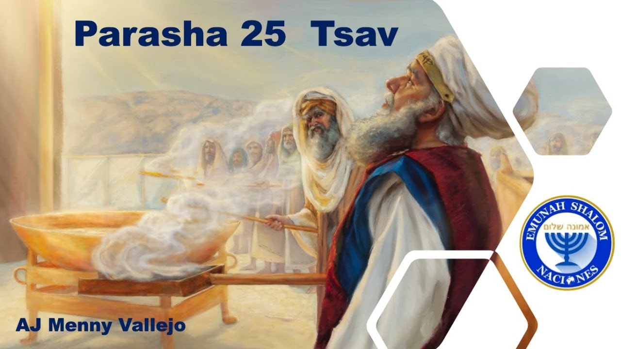 🔴 Parashá 25 "Tsav" (Encomienda) - YouTube
