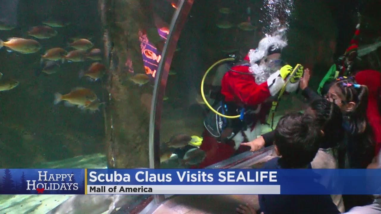 Santa Makes An Appearance At MOA Aquarium - YouTube
