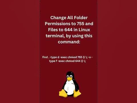 Set All Folder Permissions to 755 and Files to 644 #linux #ubuntu #command #commandline # ...