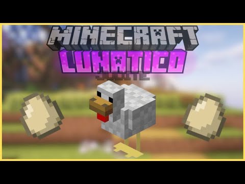 CONSTRUI UM GALINHEIRO AUTOMATICO NO MINECRAFT ! Minecraft Lunático ...