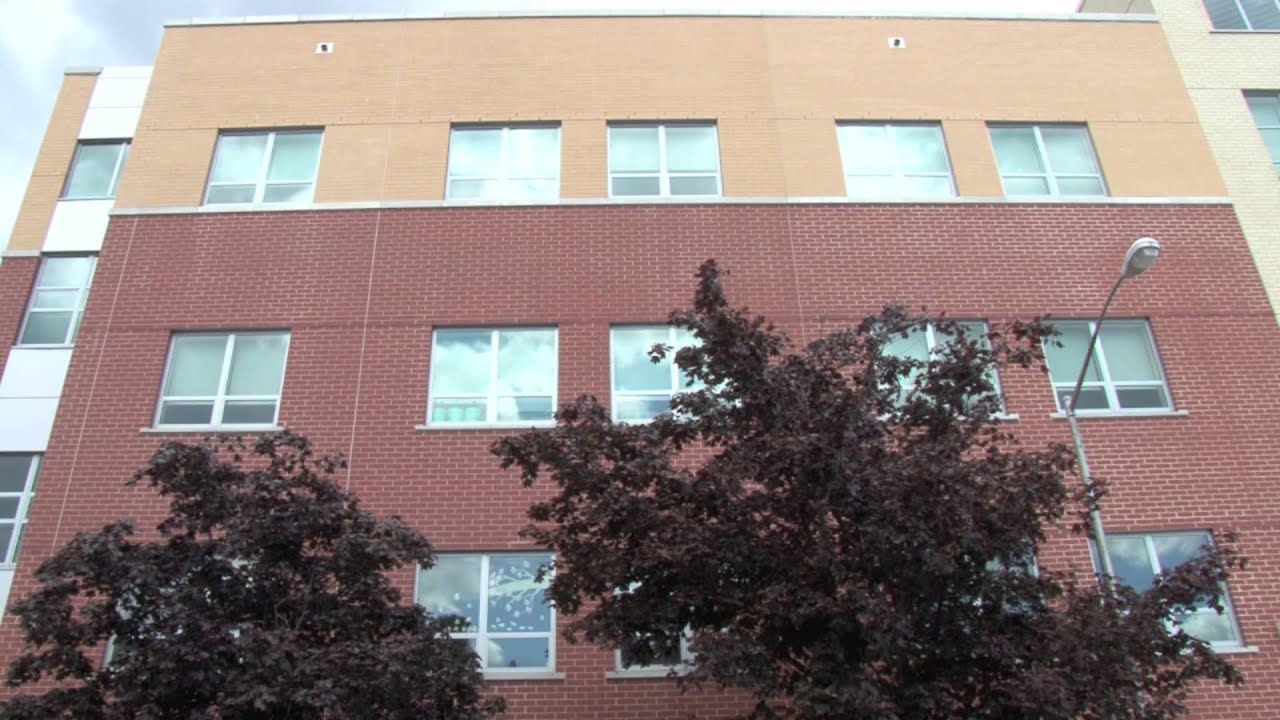 P.S. 264 BayRidge Elementary School - YouTube