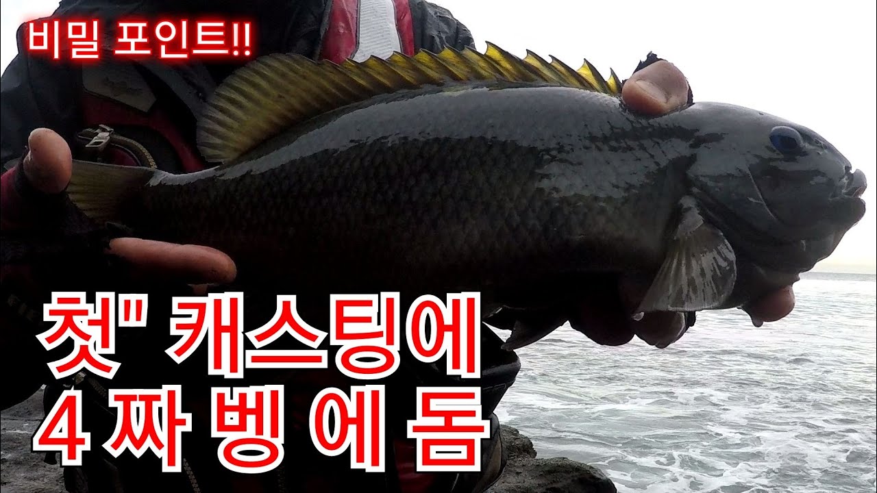 비밀 포인트에서 첫"캐스팅에 4짜 벵에돔 Big Opaleye rock Fishing - YouTube