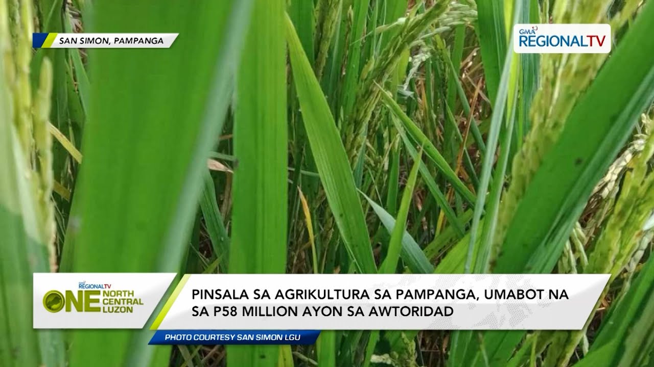One North Central Luzon: Pinsala sa agrikultura sa Pampanga, umabot na ...