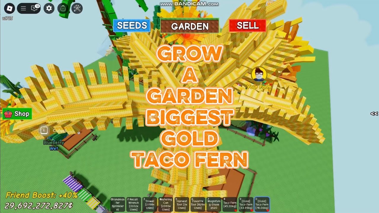 Biggest Gold TACO FERN in Grow a Garden roblox - YouTube