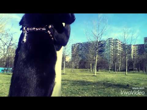 Salam in parc