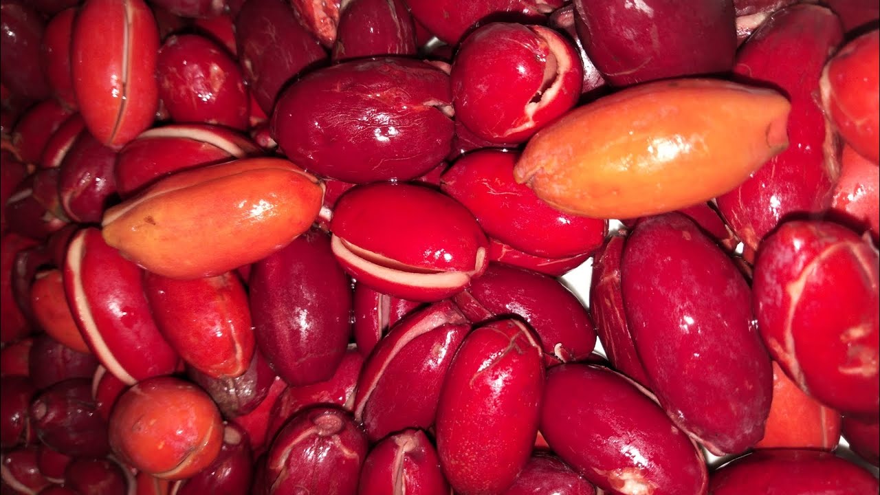 Santan Kulit tangkil #resepmasakan #masakanrumahan @amoeiycooking - YouTube