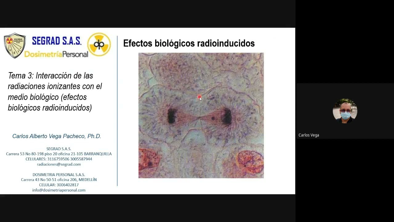 Tema 3 Interacción con el medio biológico II - YouTube