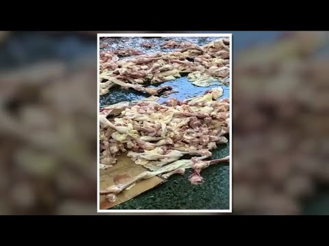 Raw chicken strewn across Brooklyn street