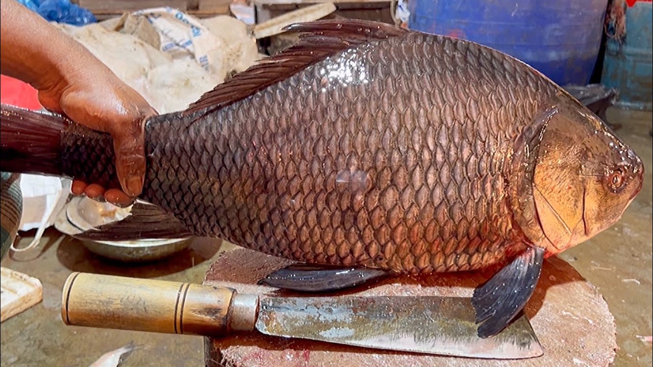Fastest Big Katla Fish Cutting Live In Fish Market | Fish Cutting ...