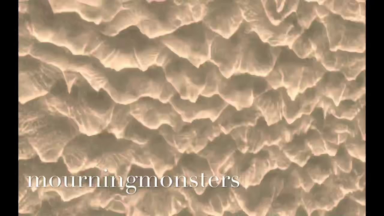 opacarophile - YouTube