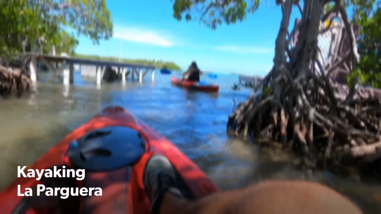 Kayaking La Parguera Lajas Puerto Rico - YouTube