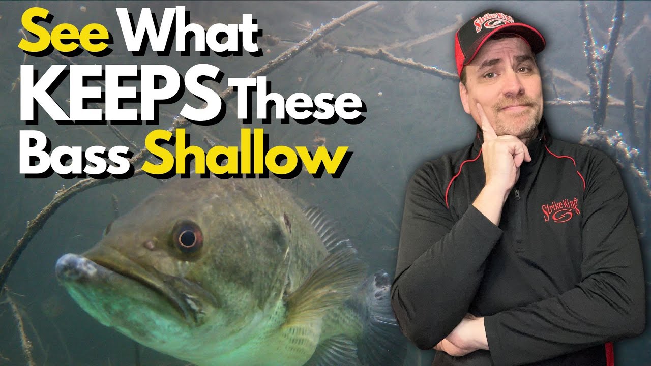 Witness Factors That Pull Bass Ultra-Shallow All Year | 4 Key Factors ...